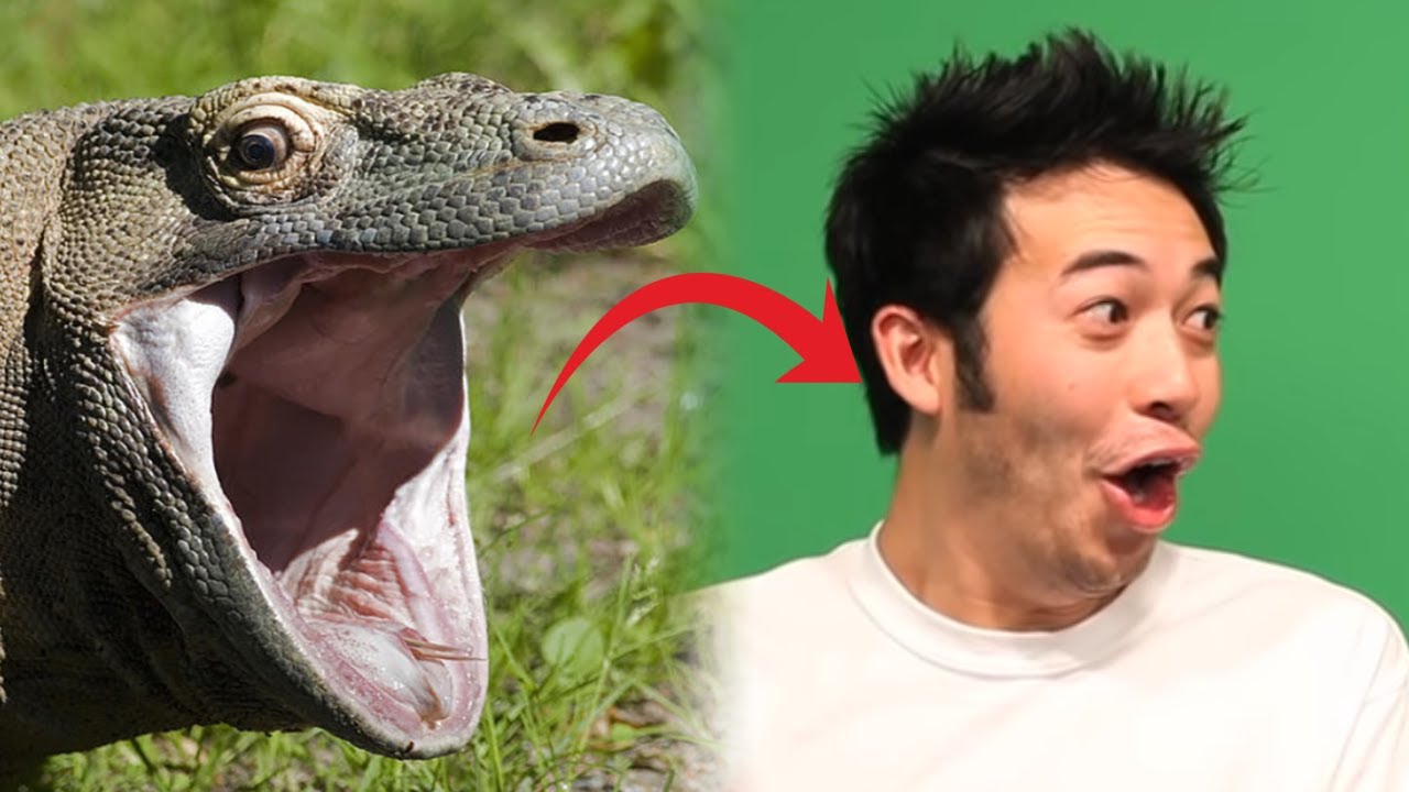 How to get the ORIGINAL PogChamp emote back! - YouTube