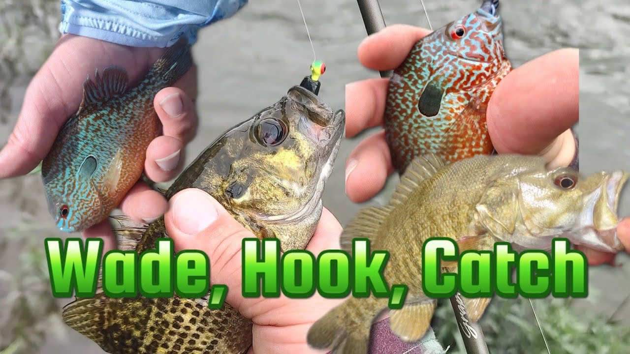 End of Summer Wade Fishing on Blue River - YouTube