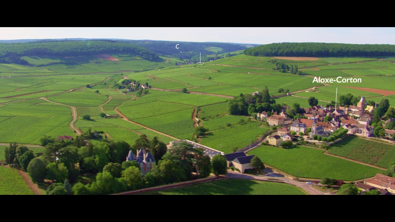 The vineyard of Bourgogne seen from the sky - on the route des Grands ...