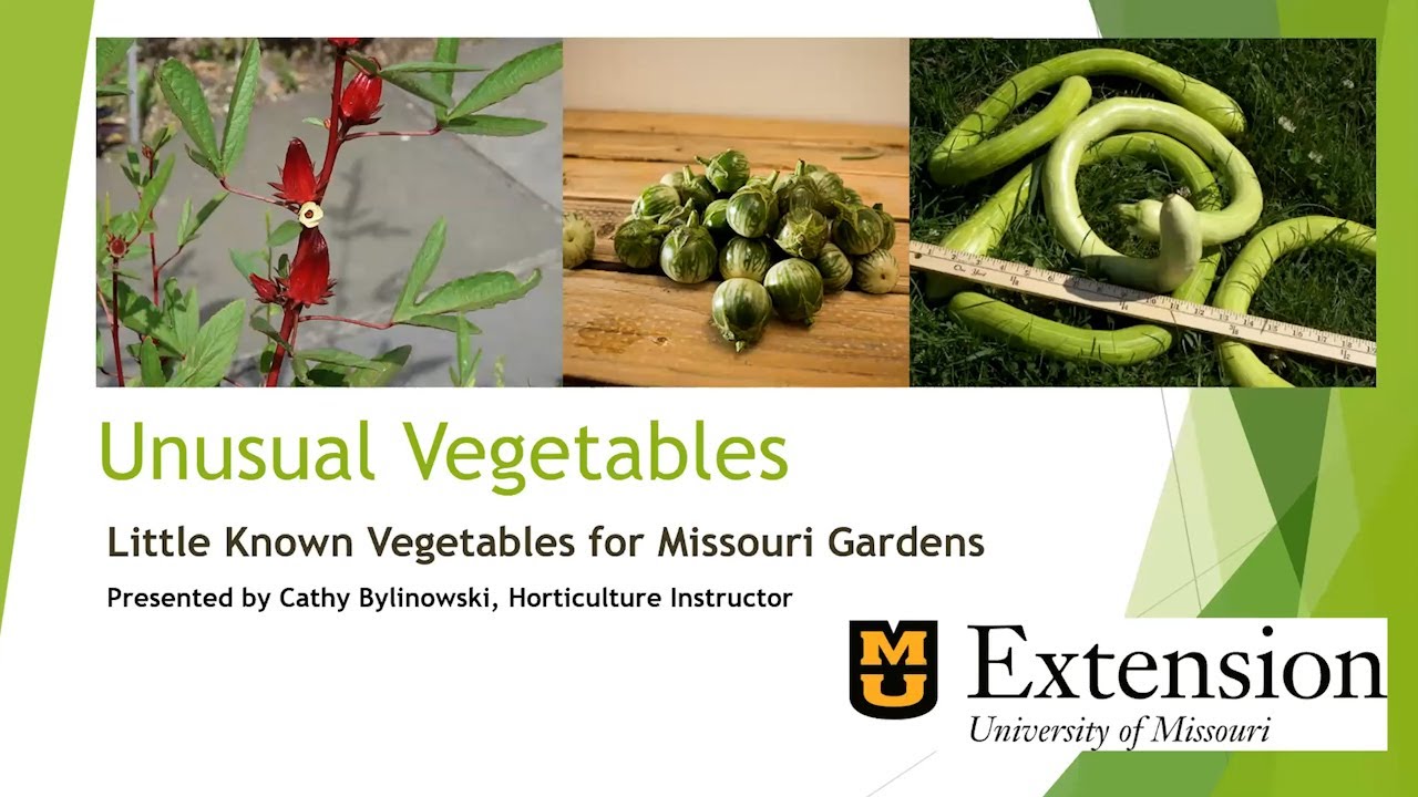 MU Extension Master Gardener Mini-Conference_Unusual Vegetables - YouTube
