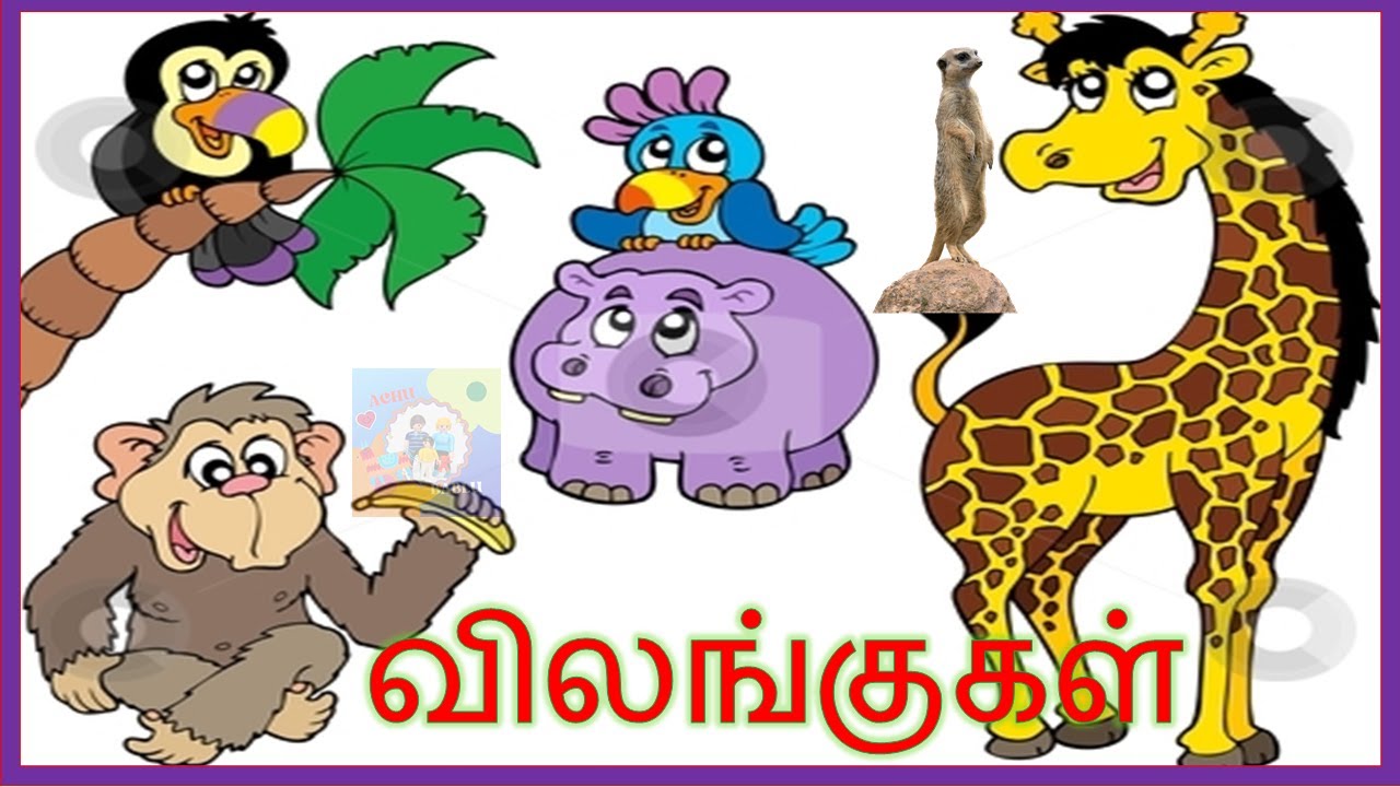 விலங்குகளின் பெயர்கள் | Animals for kids | animals name videos in Tamil ...
