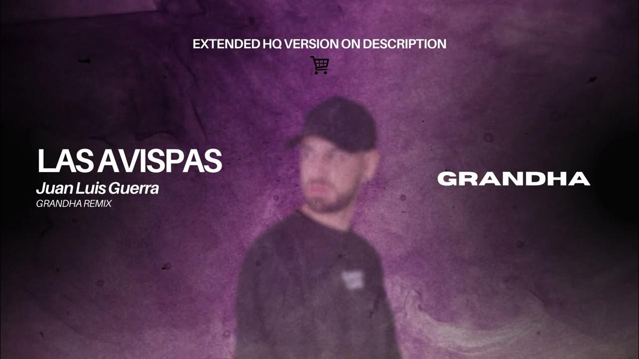 Las Avispas - Juan Luis Guerra (Grandha Remix) [Tech House] - YouTube