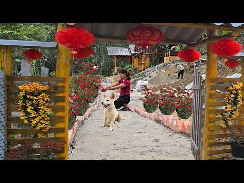TrieuToLac'ın küçük çiftliğinde mutluluğa giden yolunu inşa etme yolculuğu.