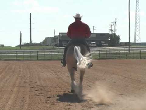 Carol Rose Ranch Video - Jay McLaughlin on Shining Spark - YouTube