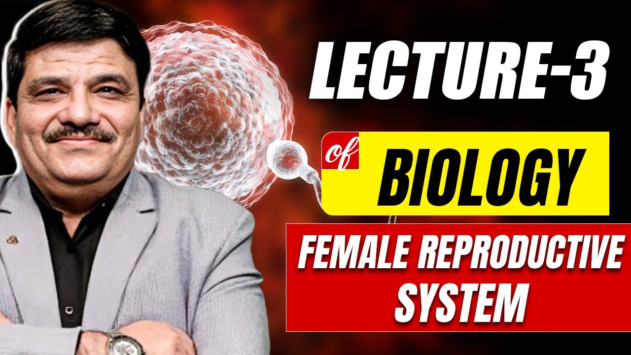 Human Reproduction Lecture-3 | Female Reproductive System | Lectures of ...