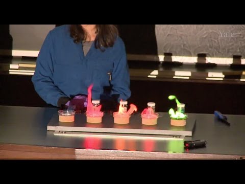 11/12/16 Patrick Vaccaro - Molecules & Light: Illuminating Chemical ...