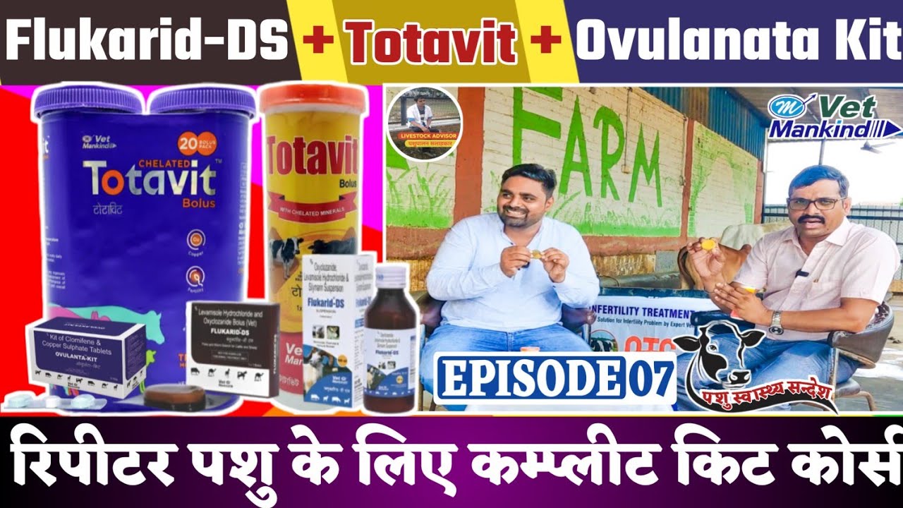 Ovulanata Kit | Totavit Bolus use in Hindi | Totavit Strong Mineral ...