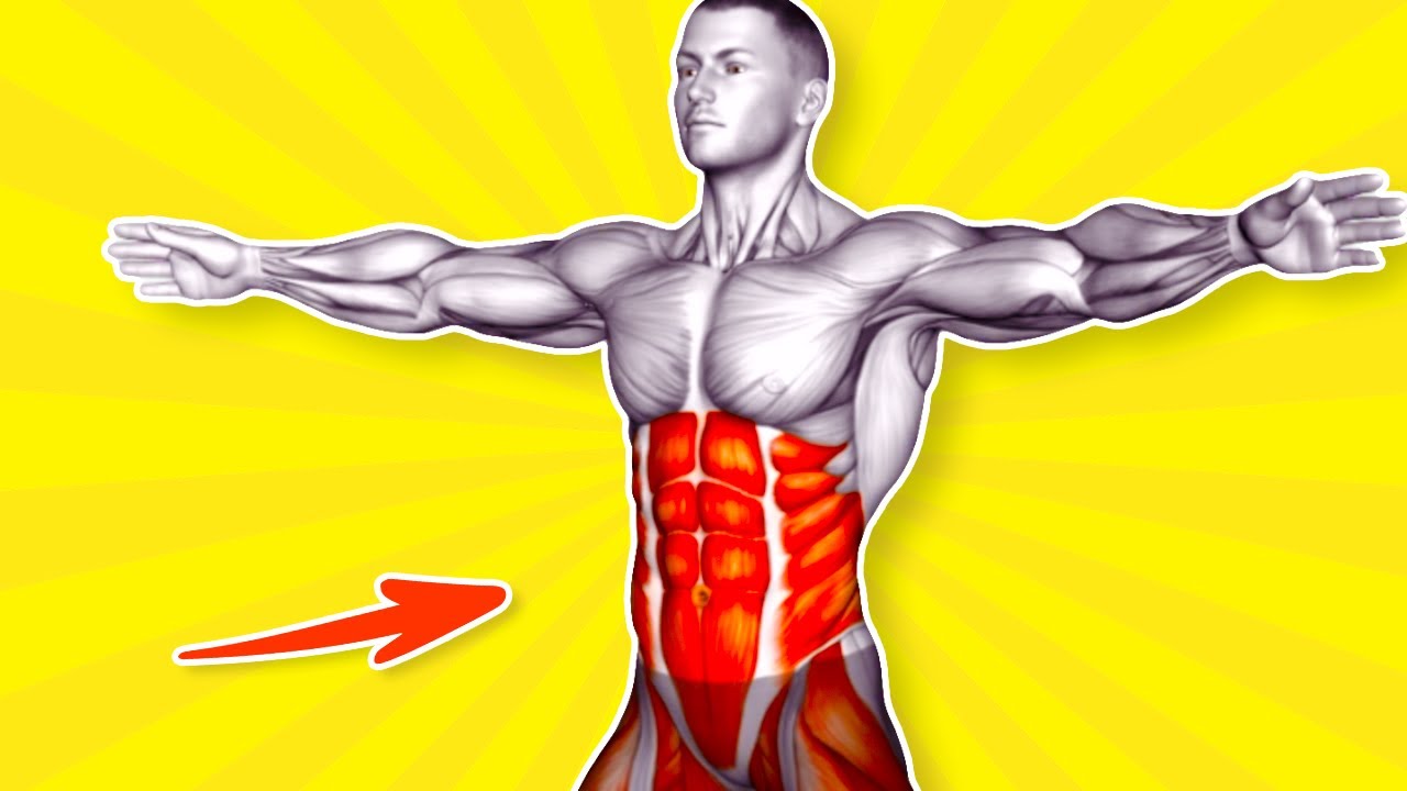 Get Ripped Abs Standing! 🔥No Gym Needed! - YouTube