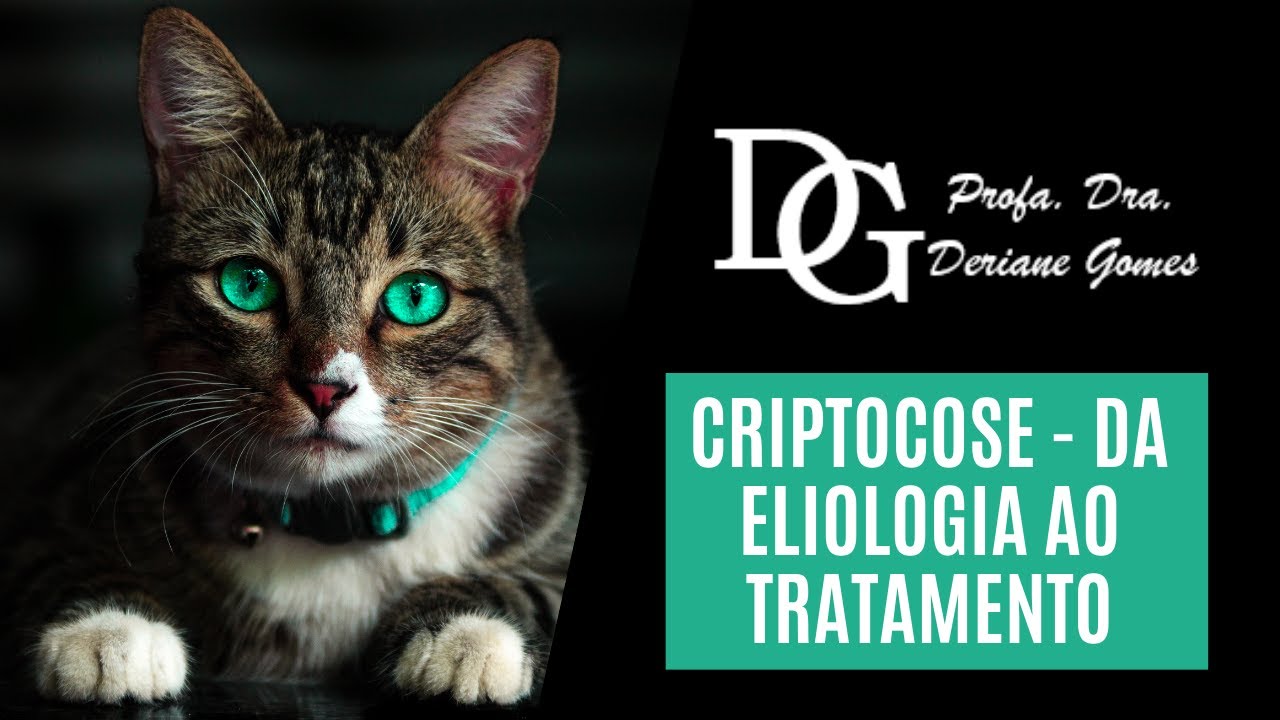 011. Criptococose: da Etiologia ao Tratamento - YouTube