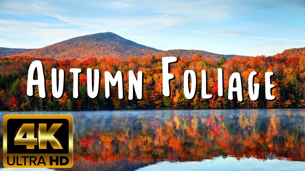 4K Beautiful Autumn Nature Foliage, Fall Scenery, Fall Foliage, Autumn ...