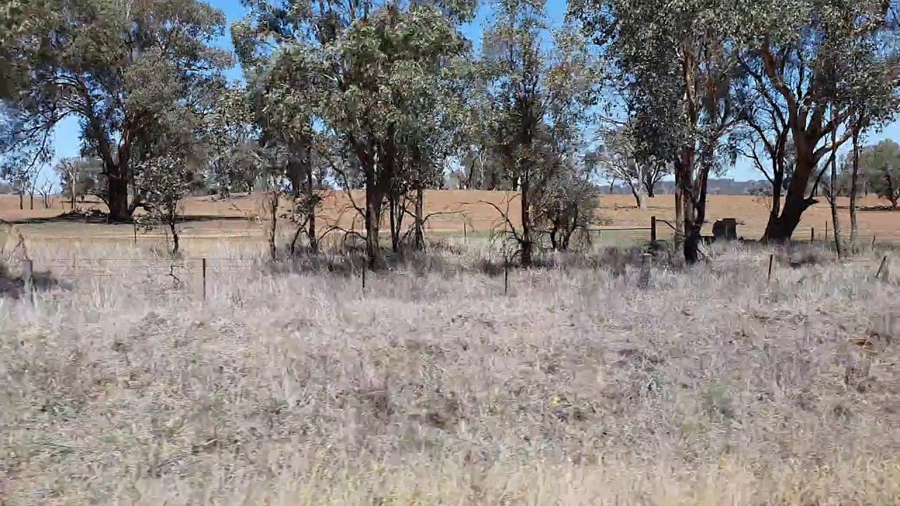 The great dry country - YouTube