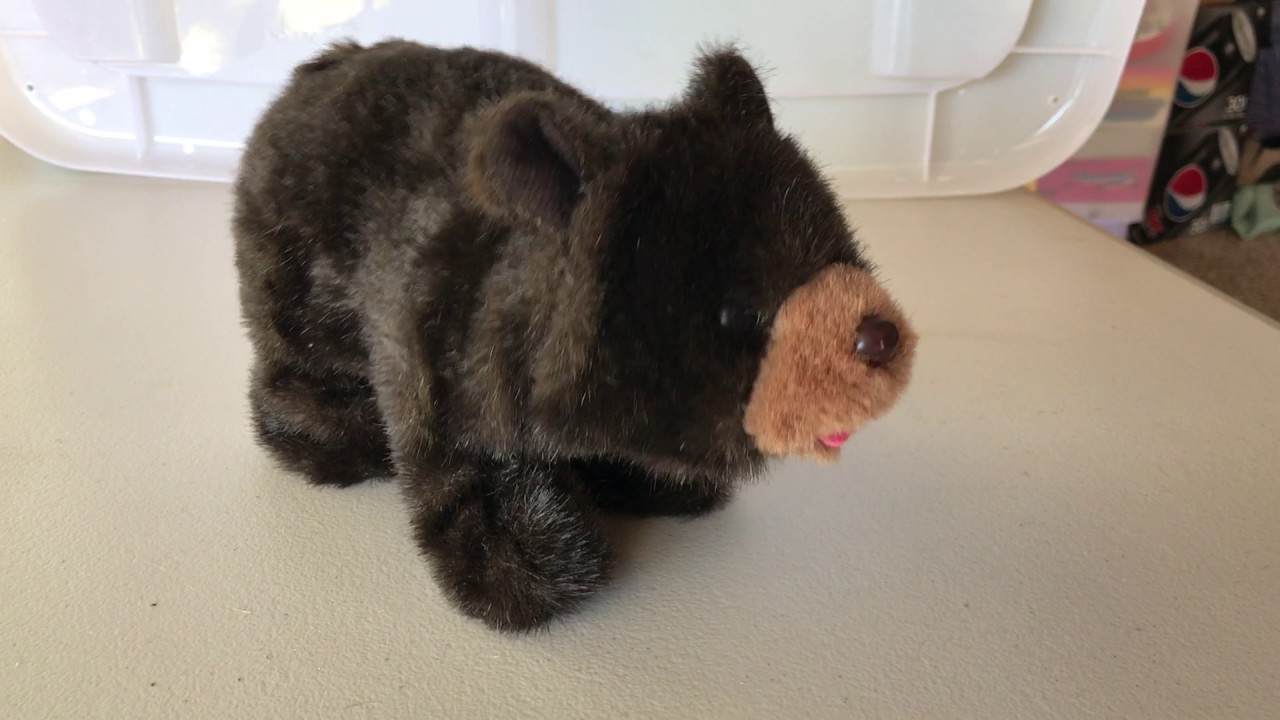 IWAYA Korea B/O Baby Biff Bear - YouTube