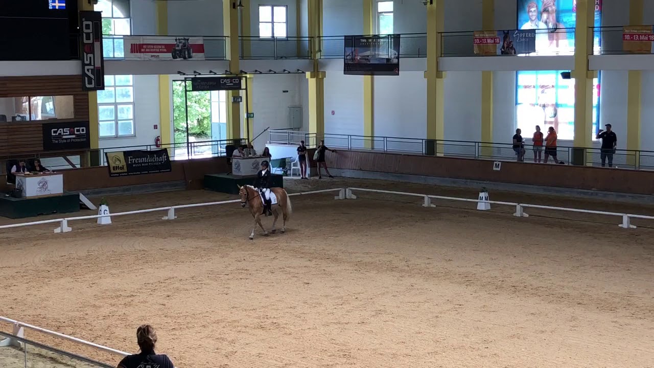 Alice Eriksson & Maxima FEI individual haflinger EM 2018 - YouTube