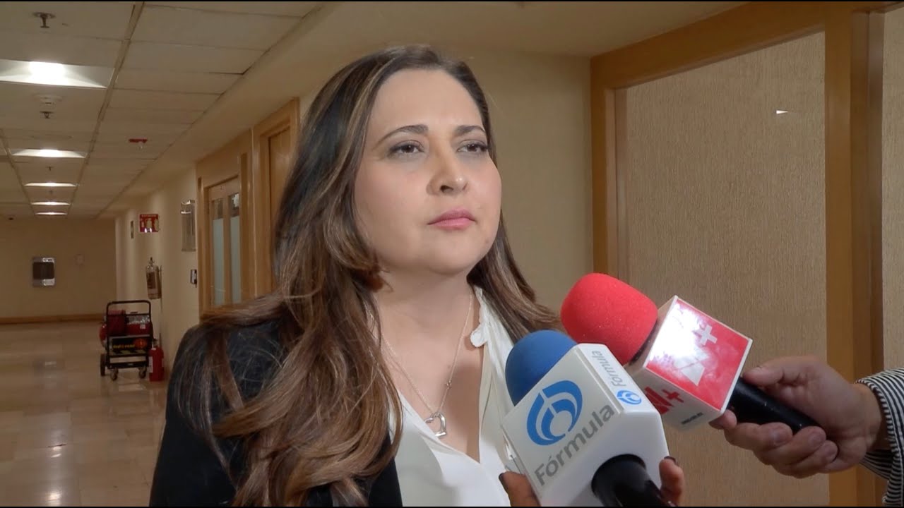 Entrevista | Dip. Cynthia López Castro | PRI | 03/08/2023 - YouTube