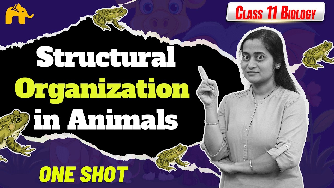 Structural Organization in Animals Class 11 Biology NCERT Chapter 7 ...