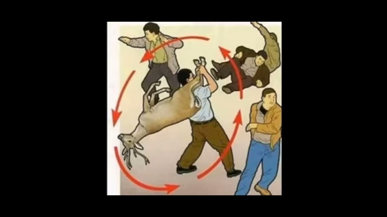 bonfire meme Mashup but (cursed images) - YouTube