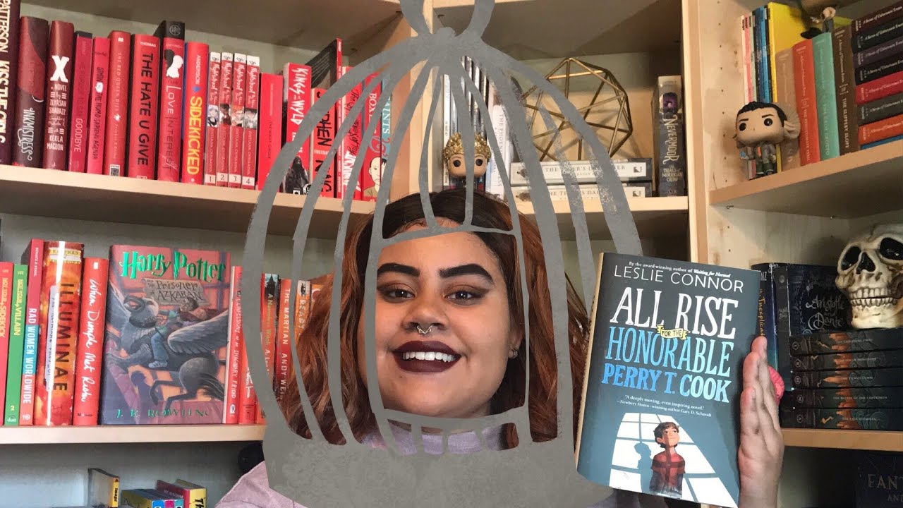 All Rise for the Honorable Perry T. Cook | Book Opinion - YouTube