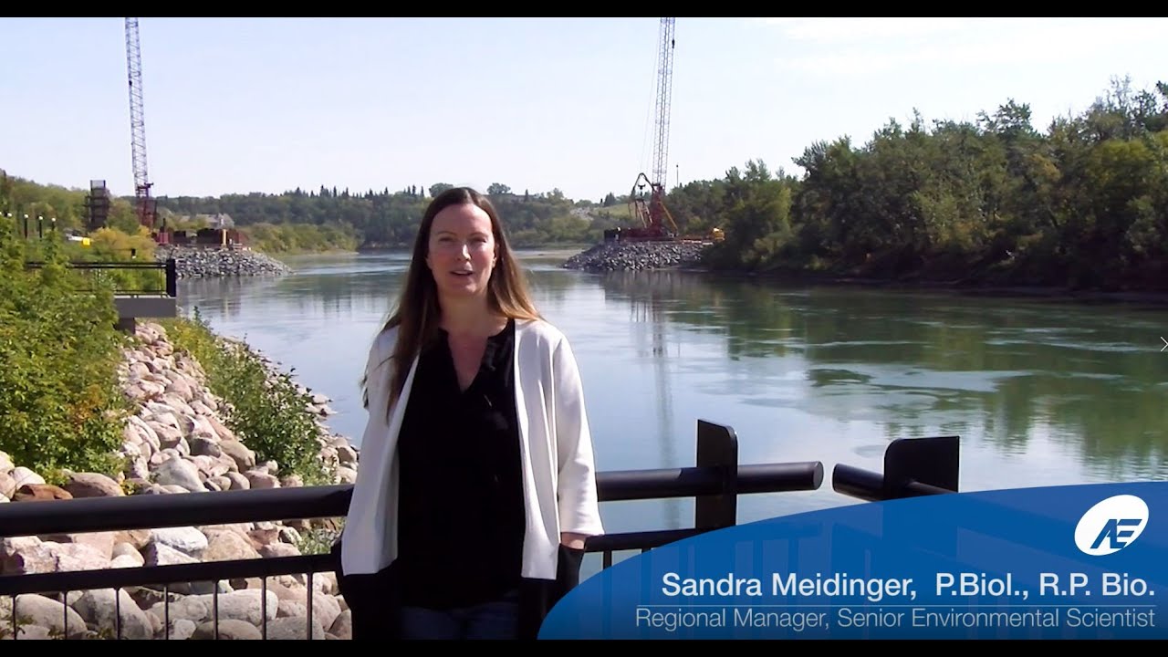 Shaping our Shared Future - Investing in People - Sandra Meidinger ...