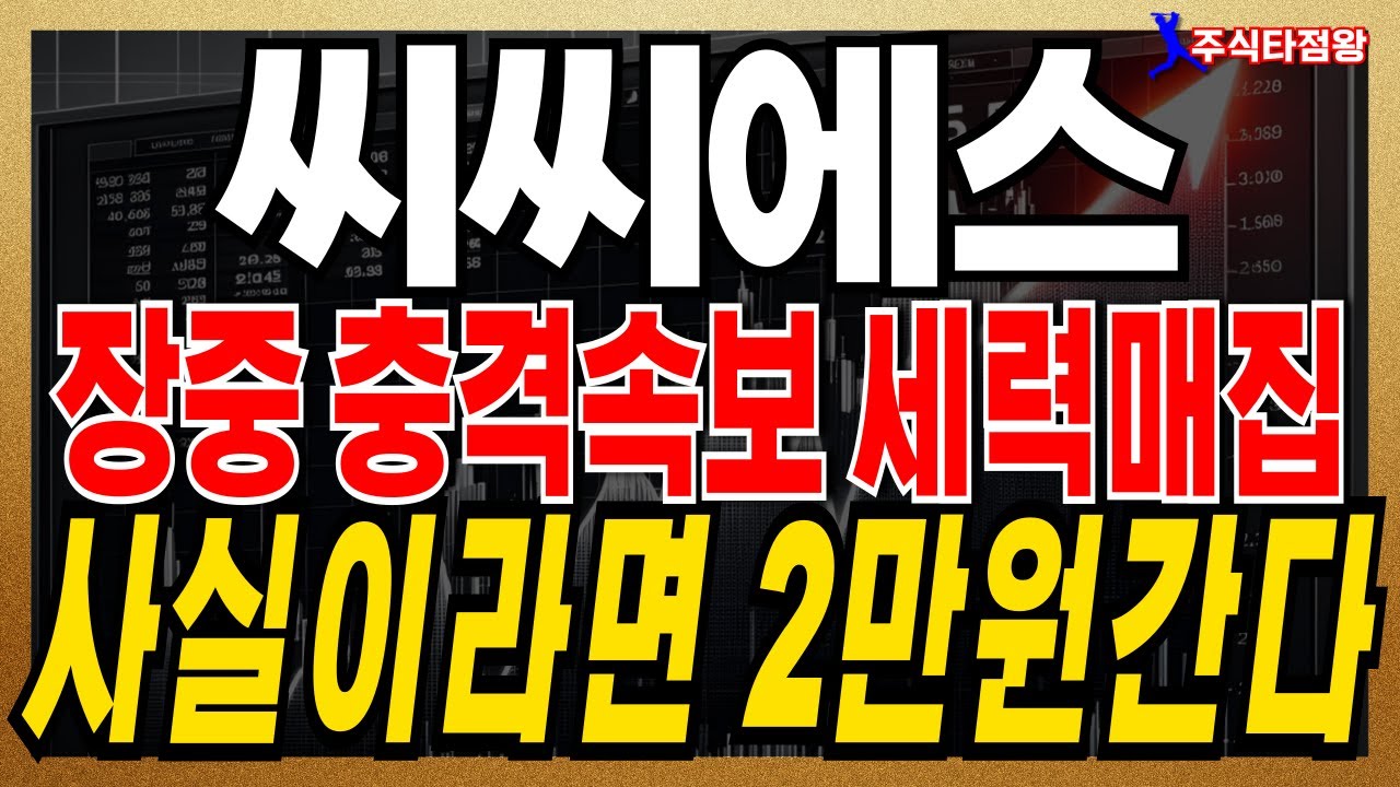 씨씨에스 장중 충격속보 세력매집 이게 사실이라면 2만원간다 씨씨에스 씨씨에스주가전망 씨씨에스주가 씨씨에스전망