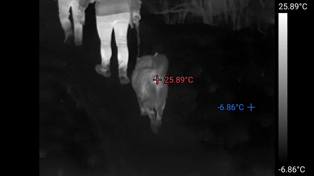 20221225 Thermal cam has found the hotspots successfully! - YouTube