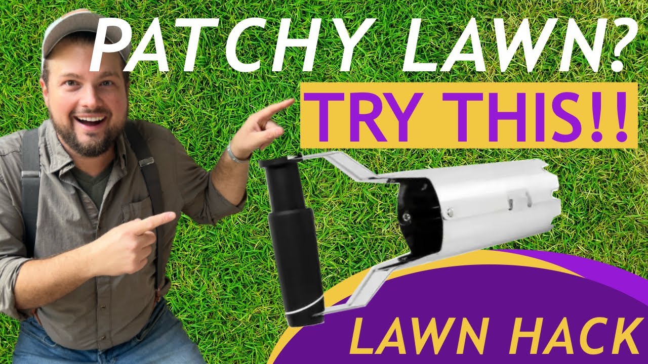 Lawn HACK! Fix a Patchy/Bare Lawn in Minutes!! - YouTube