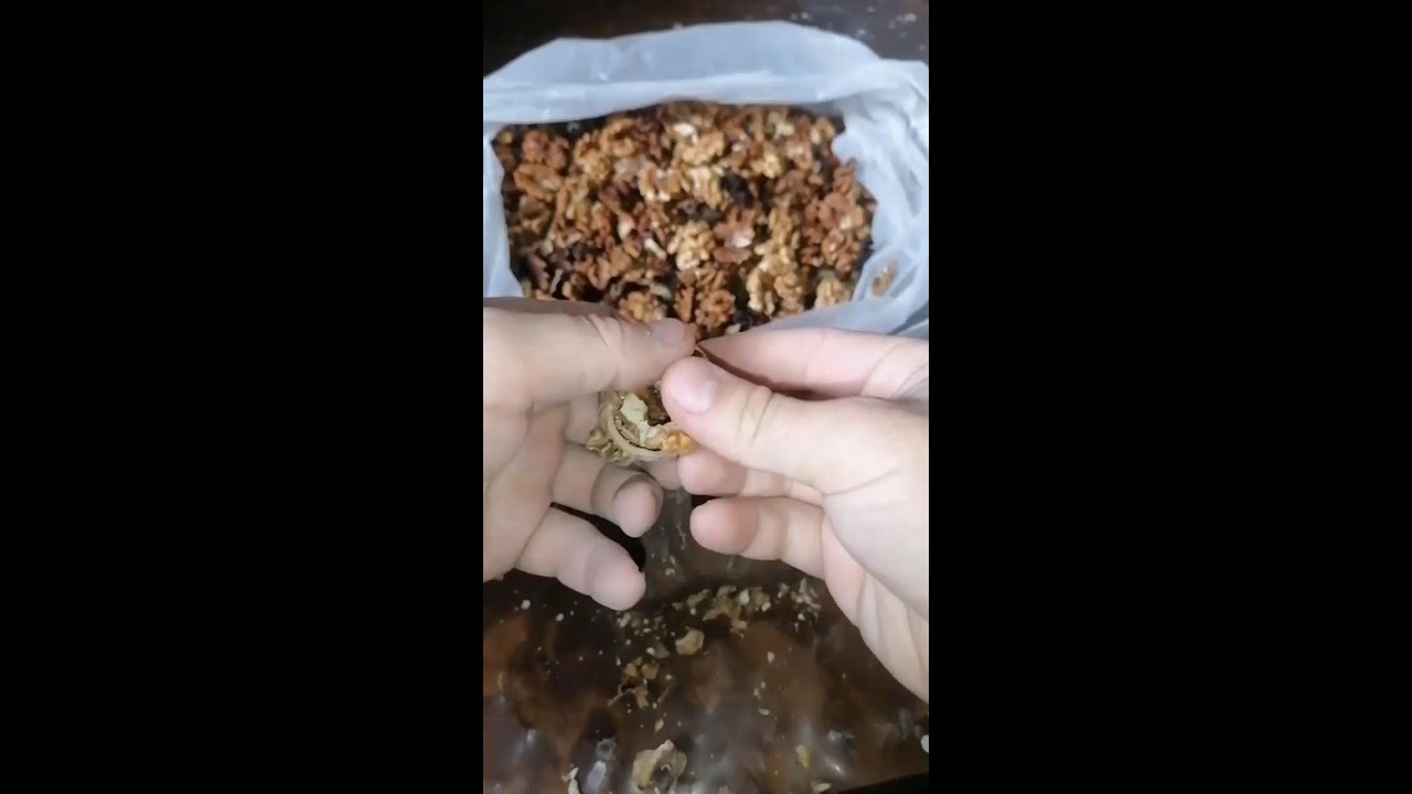 Breaking nuts - YouTube