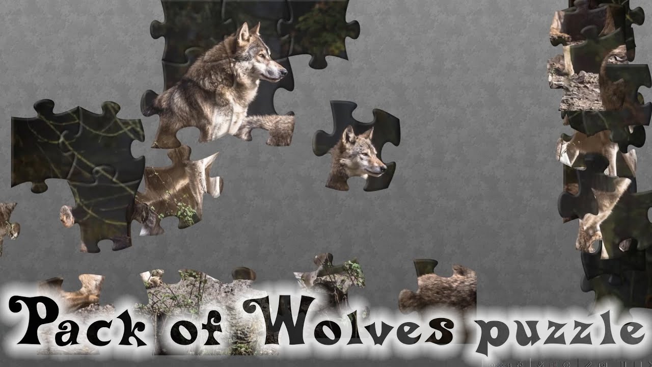 Pack of Wolves #puzzle #wolvespuzzle - YouTube