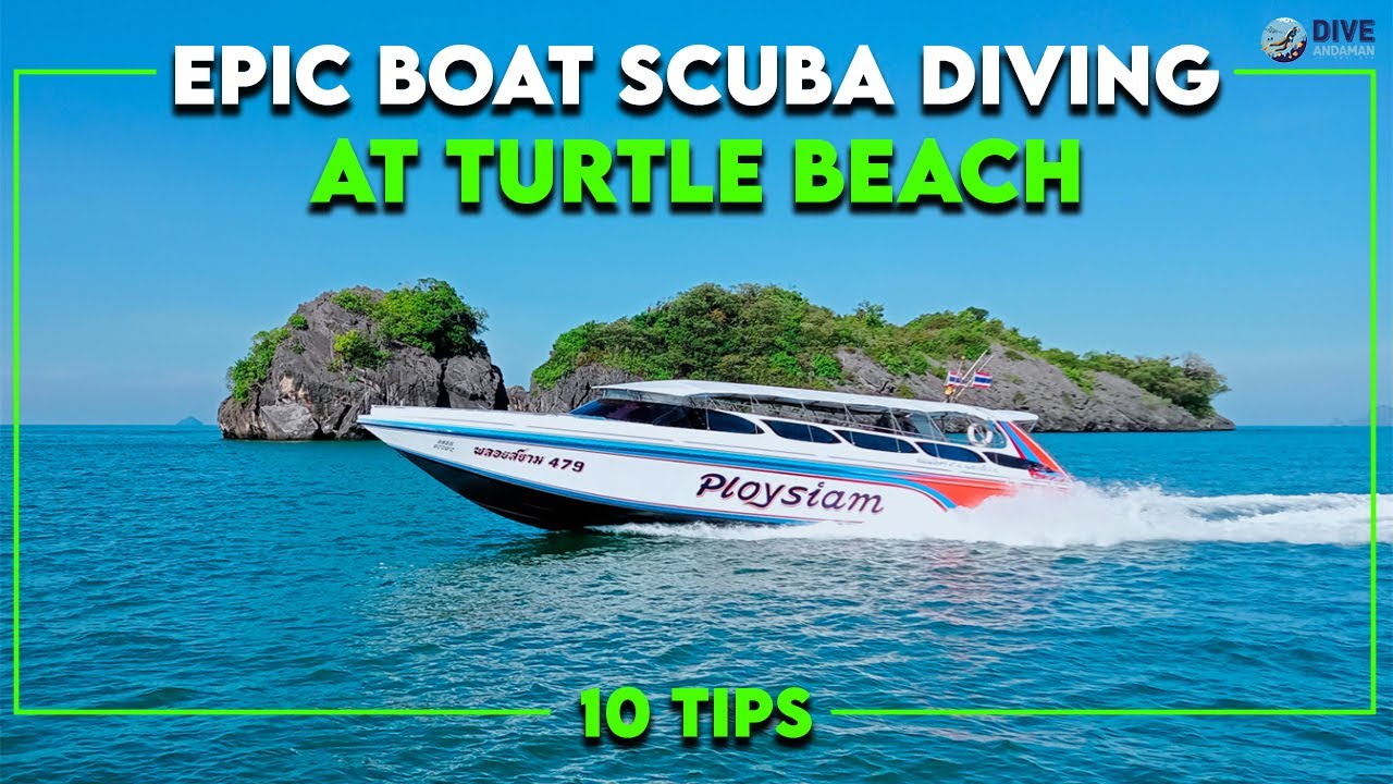 Epic Boat Scuba Diving Adventure at Turtle Beach: 10 Tips for an ...