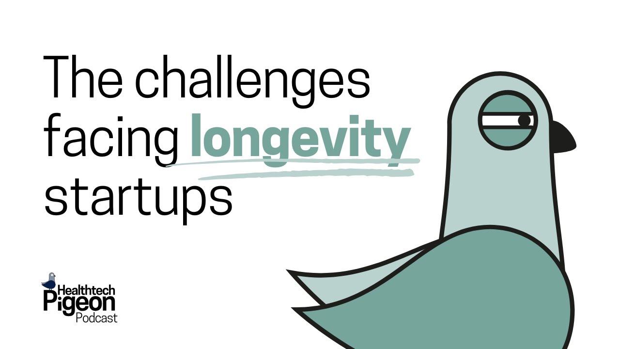 The challenges facing longevity startups - YouTube