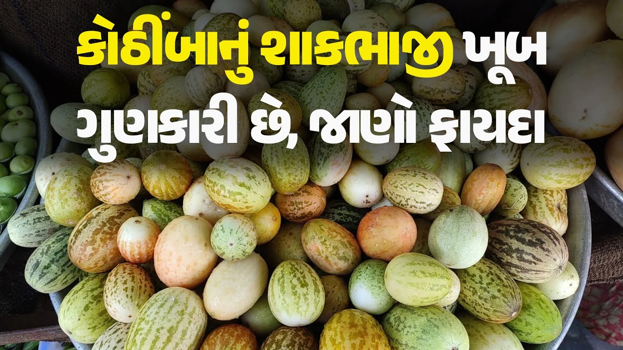 કોઠીંબાનું શાકભાજી ખૂબ ગુણકારી છે, જાણો ફાયદા #Food #Kothimba # ...