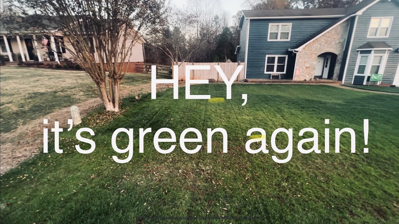 Finally, PROGRESS! | Ep. 4 My Yard Disaster | Lawn Renovation - YouTube