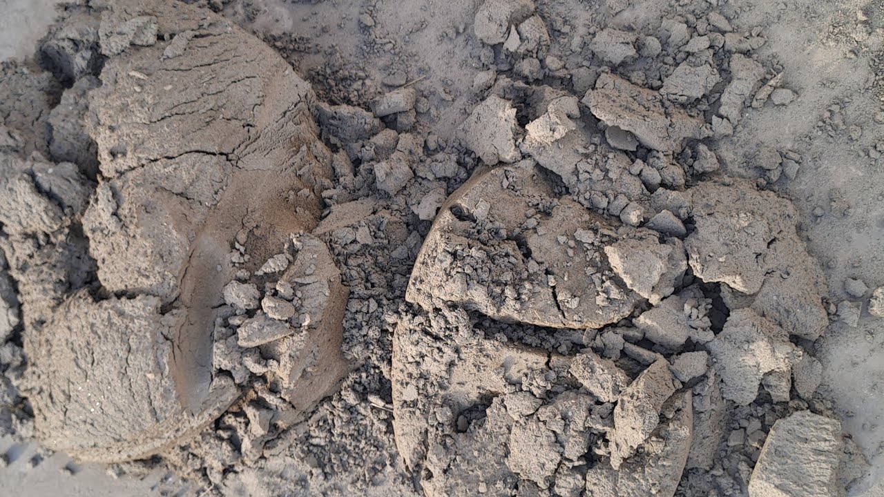 New crumbling vlog with alots of gup shup Mazadar crumbling So ...