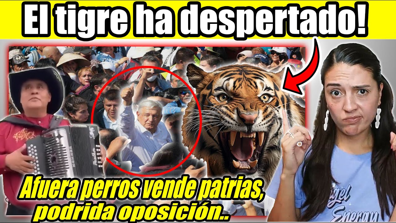 El tigre ha despertado! Afuera perros vende patrias, podrida oposicion ...