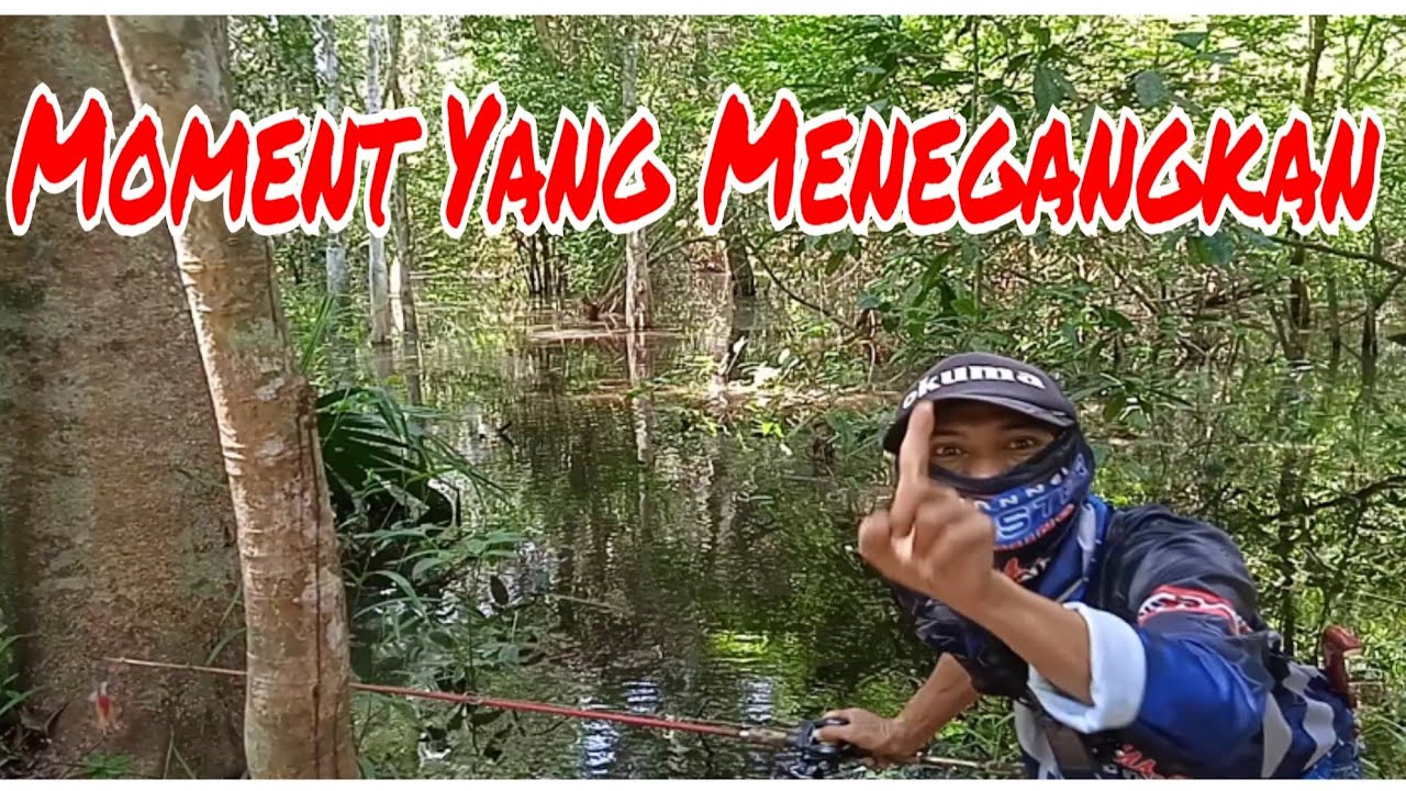 Slater Lure Di Kejar Ikan Predator by Channel Monster Fishing - YouTube