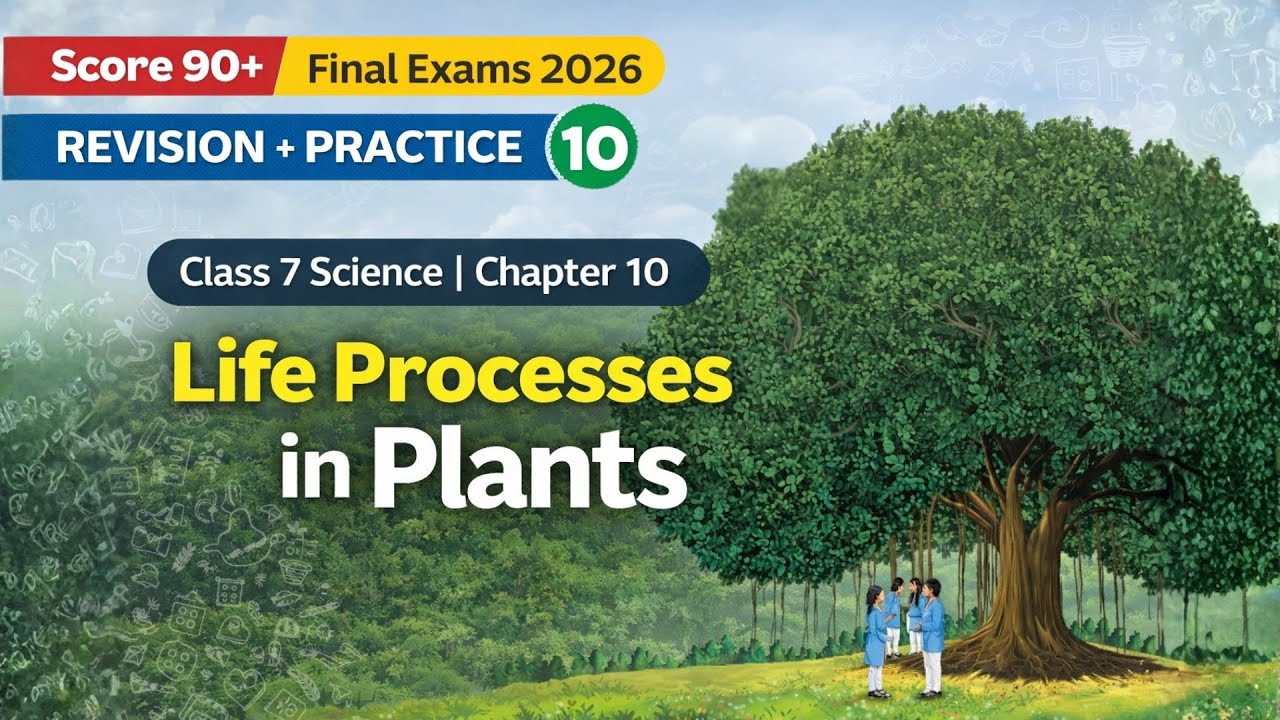 Life Processes in Plants | Class 7 Science Chapter 10 | Revision ...