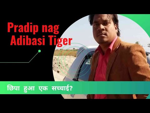 PRADEEP NAG ADIBASI TIGER 🐯 ।। B~KASH OFFICIAL - YouTube