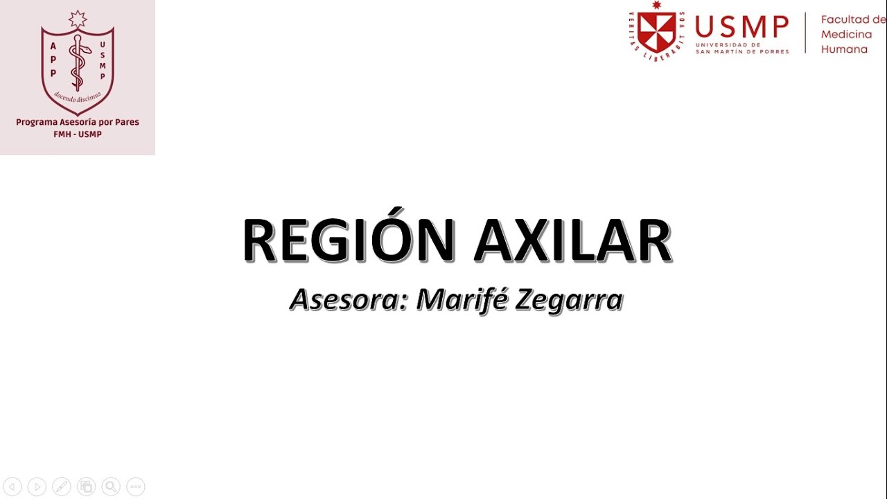 Anatomía I - sesión 04 - Región axilar - YouTube