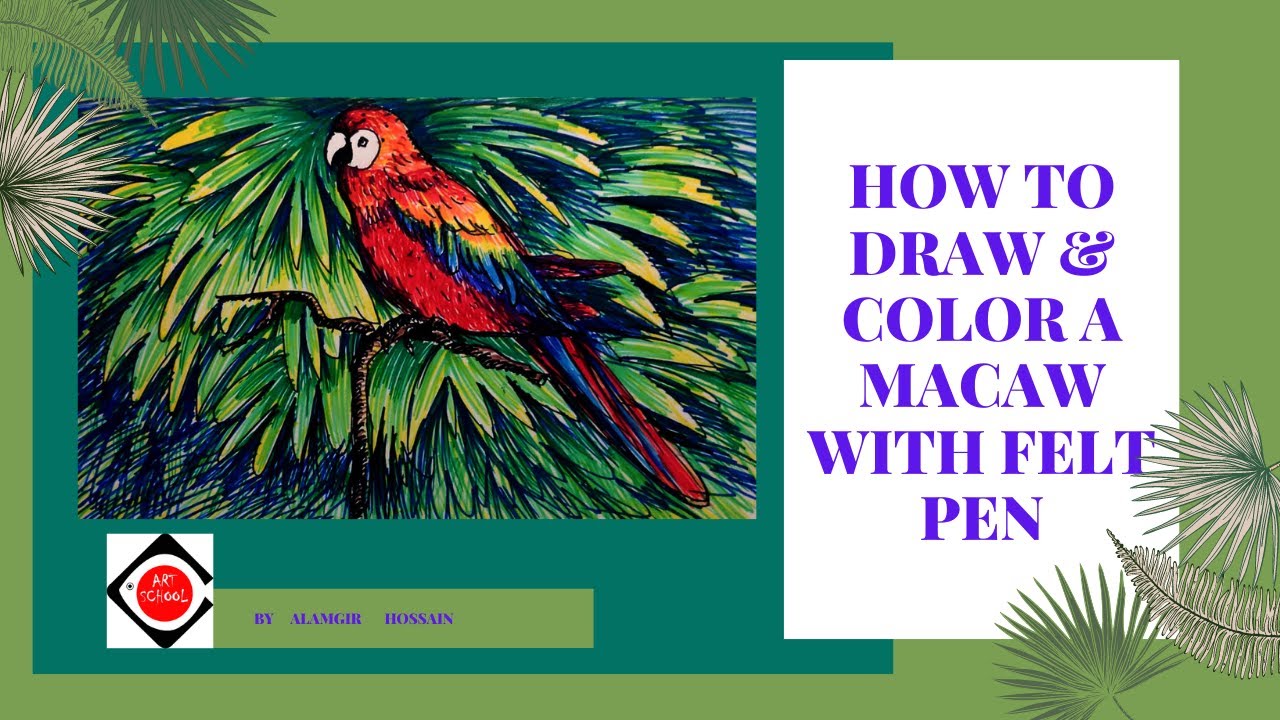HOW TO DRAW & COLOR A MACAW WITH FELT PEN | FELT PEN EASY TECHNIQUE ...