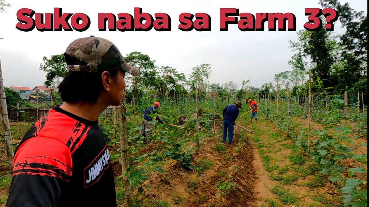 BAKA HINDI NA MA RENEW ANG FARM 3 - YouTube
