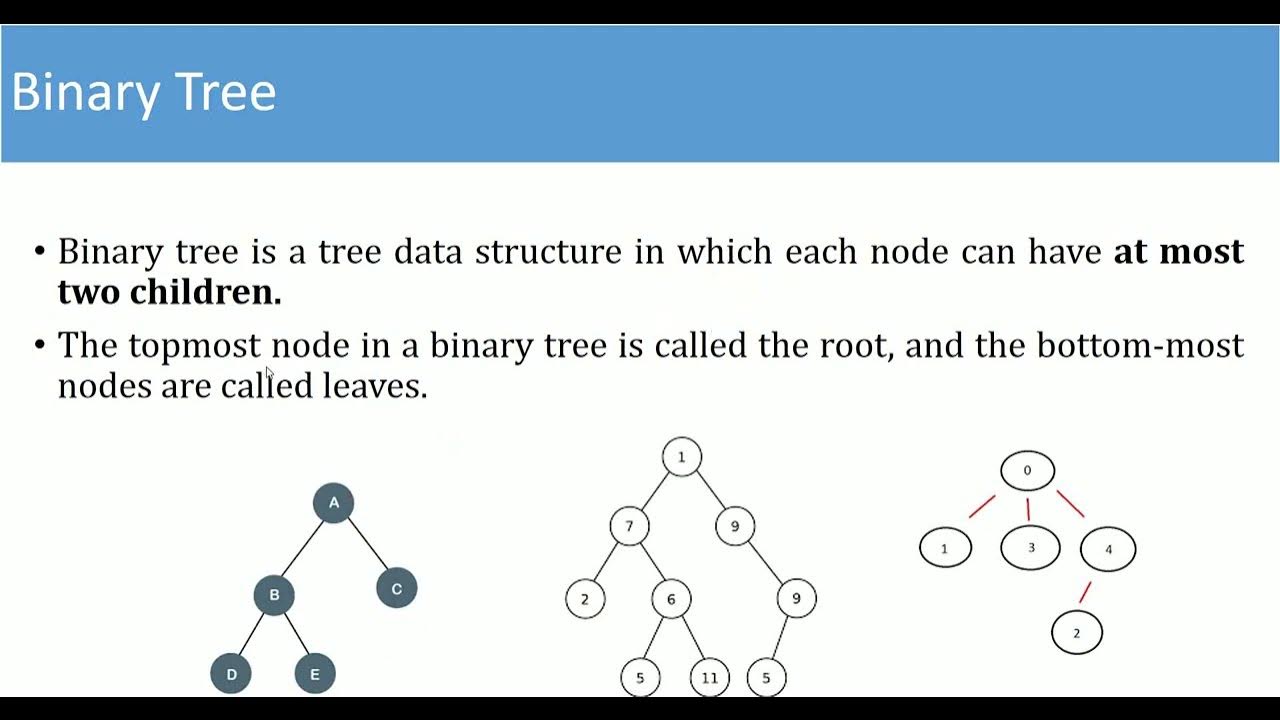 Array Representation of Binary Tree (Bangla) - YouTube