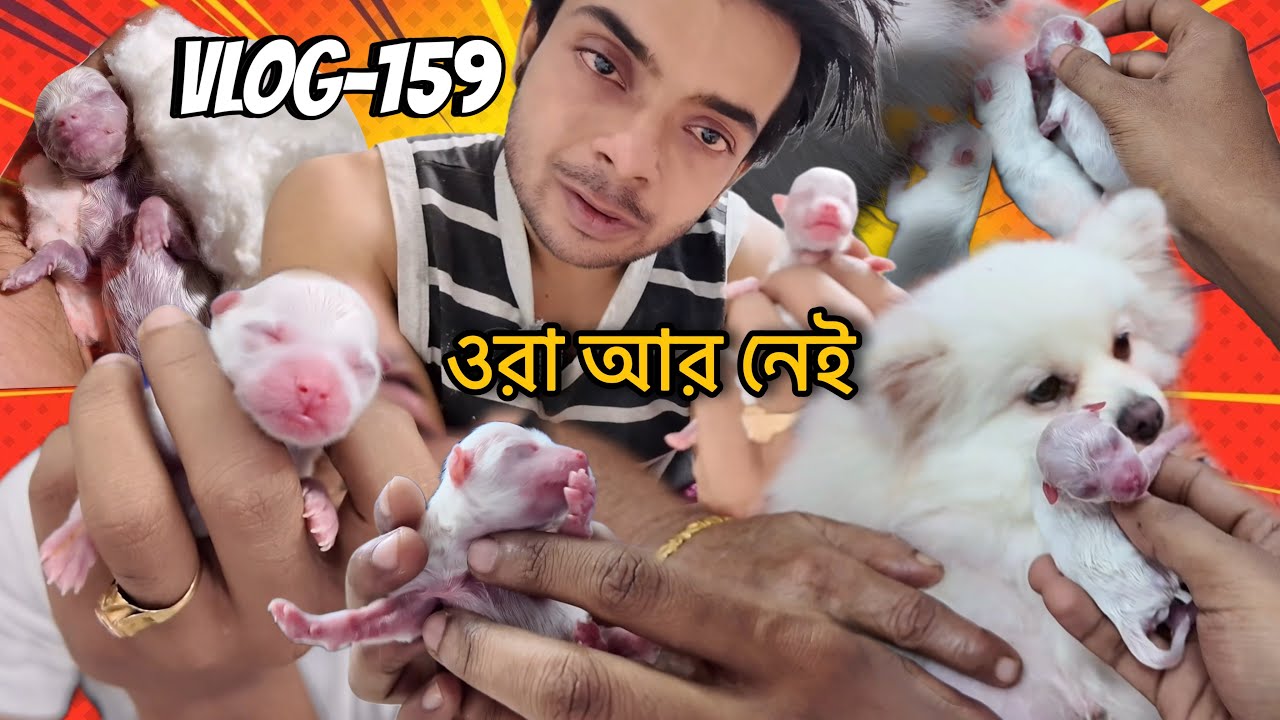 খারাপ লাগলেও এটাই সত্য 🙍‍♂️😔 🙏🏼Vlog-159 - YouTube