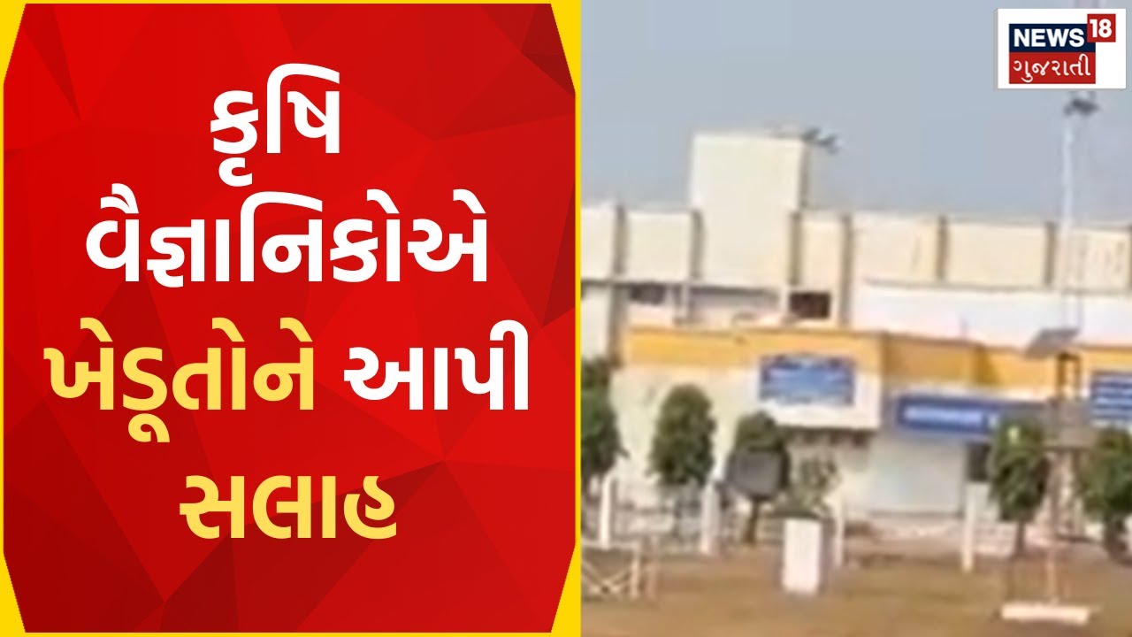 Anand News | પિયત ન કરવા ખેડૂતોને સૂચના, શાકભાજીમાં જીવાત થવાની સંભાવના ...