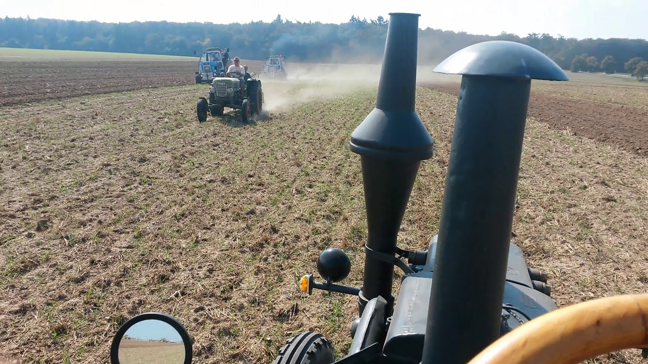 Lanz Bulldog Schaupflügen Dargun 2019 (hot bulb engine) - YouTube
