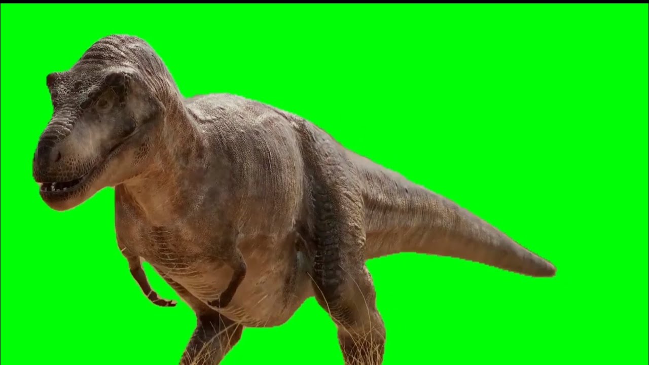 dinosaur green screen video @sadanvfx t-rex dinosaurs green screen ...