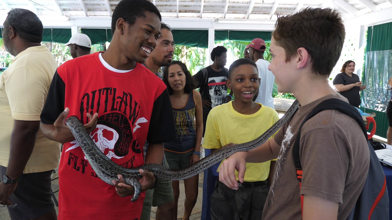 Changing the way people think of Snakes, Snake Workshop 2018 - YouTube