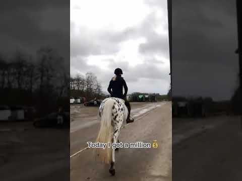 I Can fly High✈️ #horse #edit #horseedit #hrk #spotify