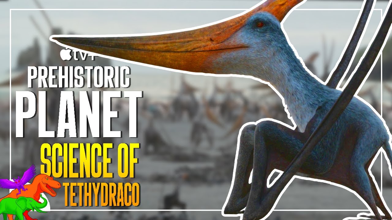 How Speculative Is Prehistoric Planet's Tethydraco? - YouTube