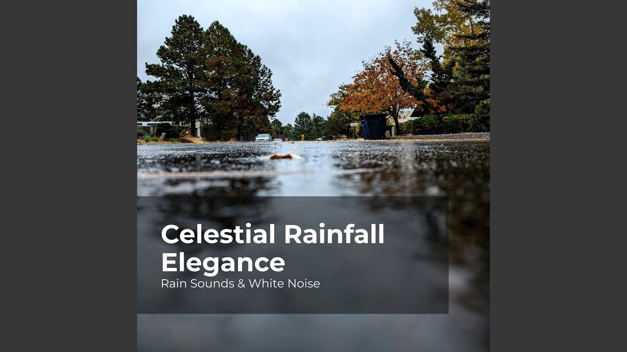 Rain Skyfall Birds - YouTube