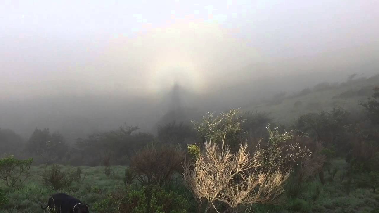 My Shadow In The Fog - YouTube