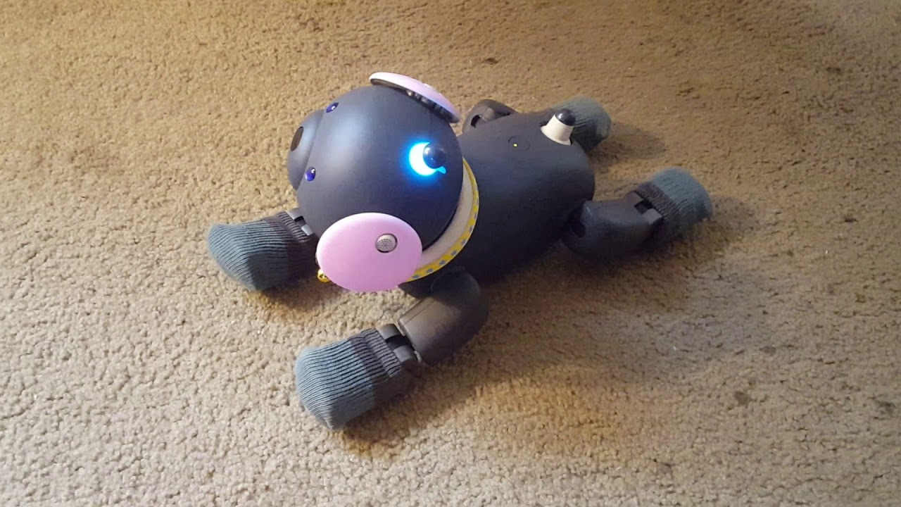 Aibo 312b Custom Boot tune - YouTube